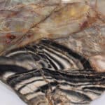 Fossilien – Fossilien Philipp Krüger